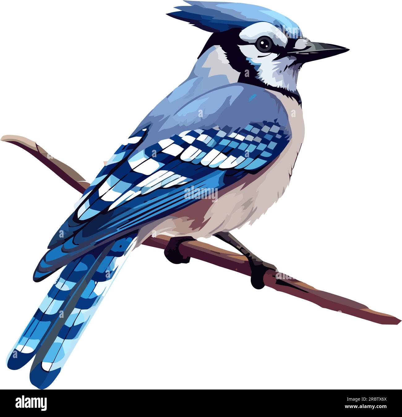 Perching jay Stock Vector Images - Alamy