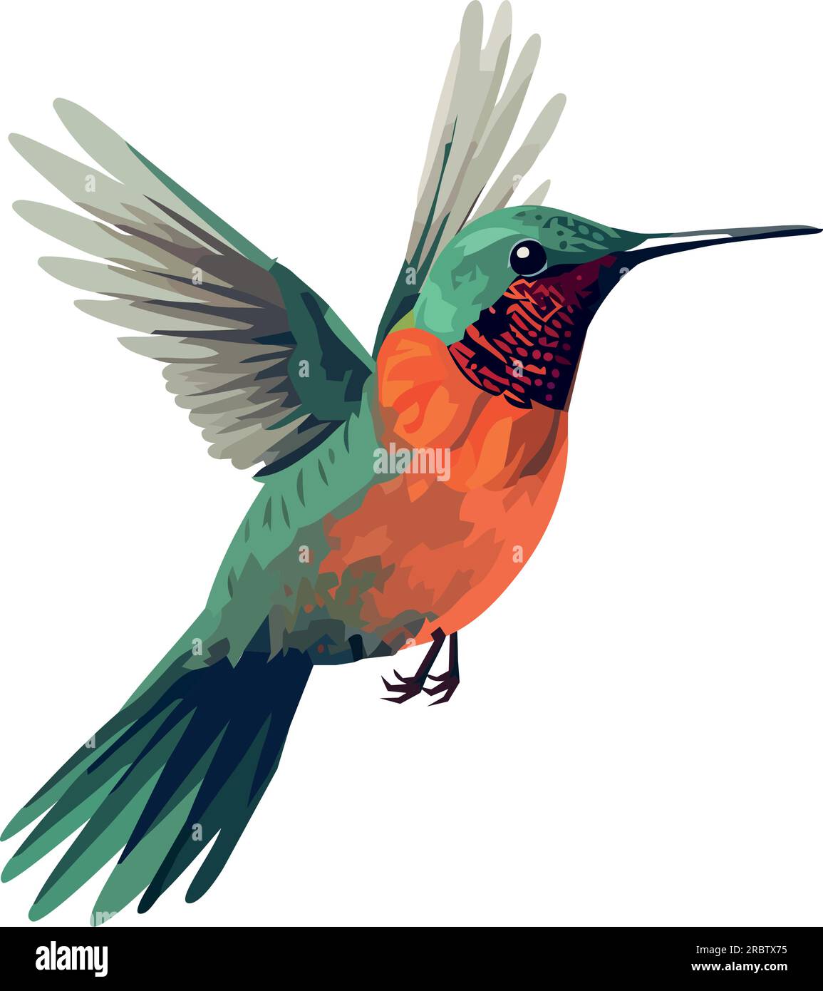 Hummingbird flying design Stock Vector Image & Art - Alamy