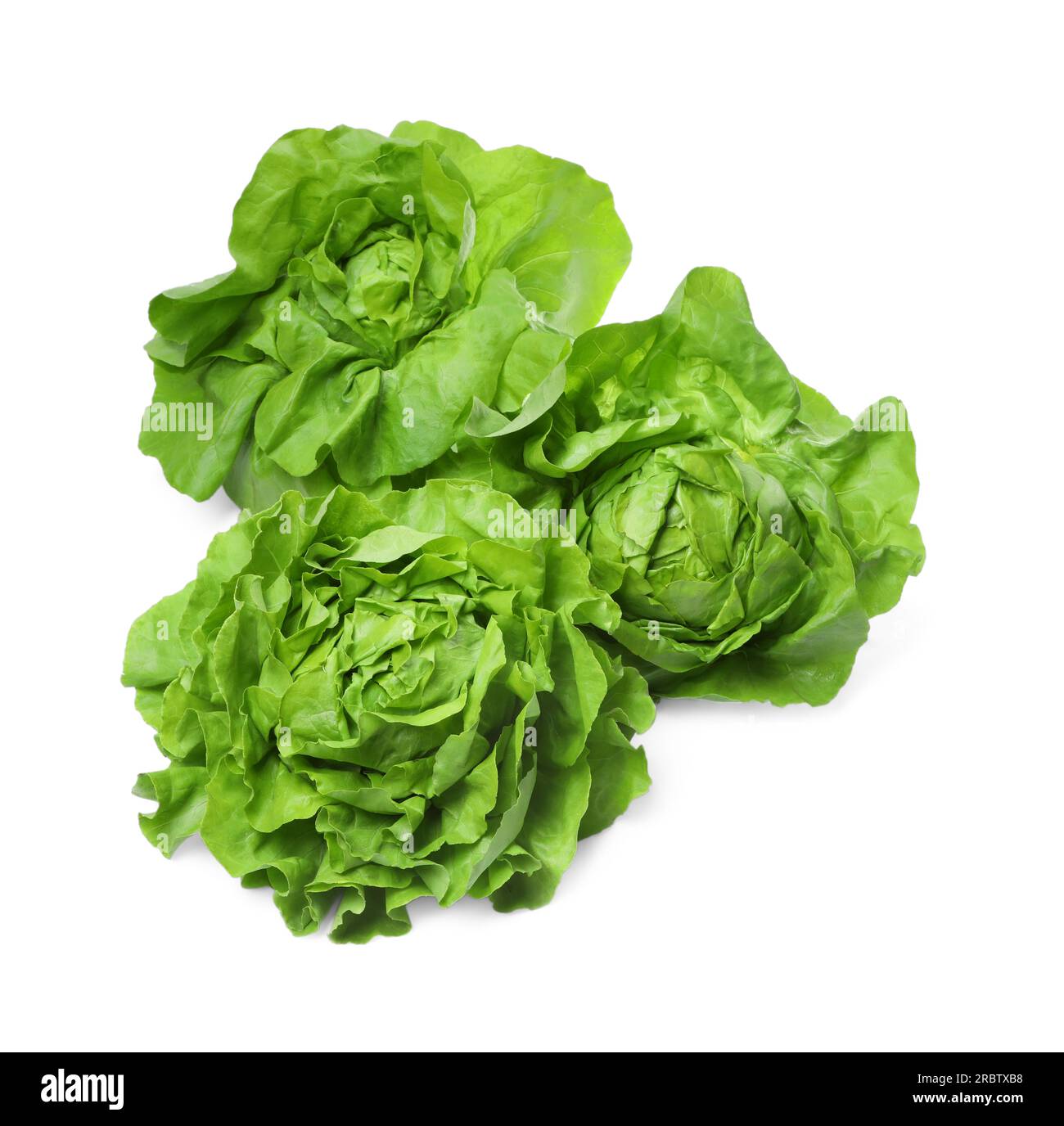 Fresh green butter lettuce heads isolated on white Stock Photo - Alamy