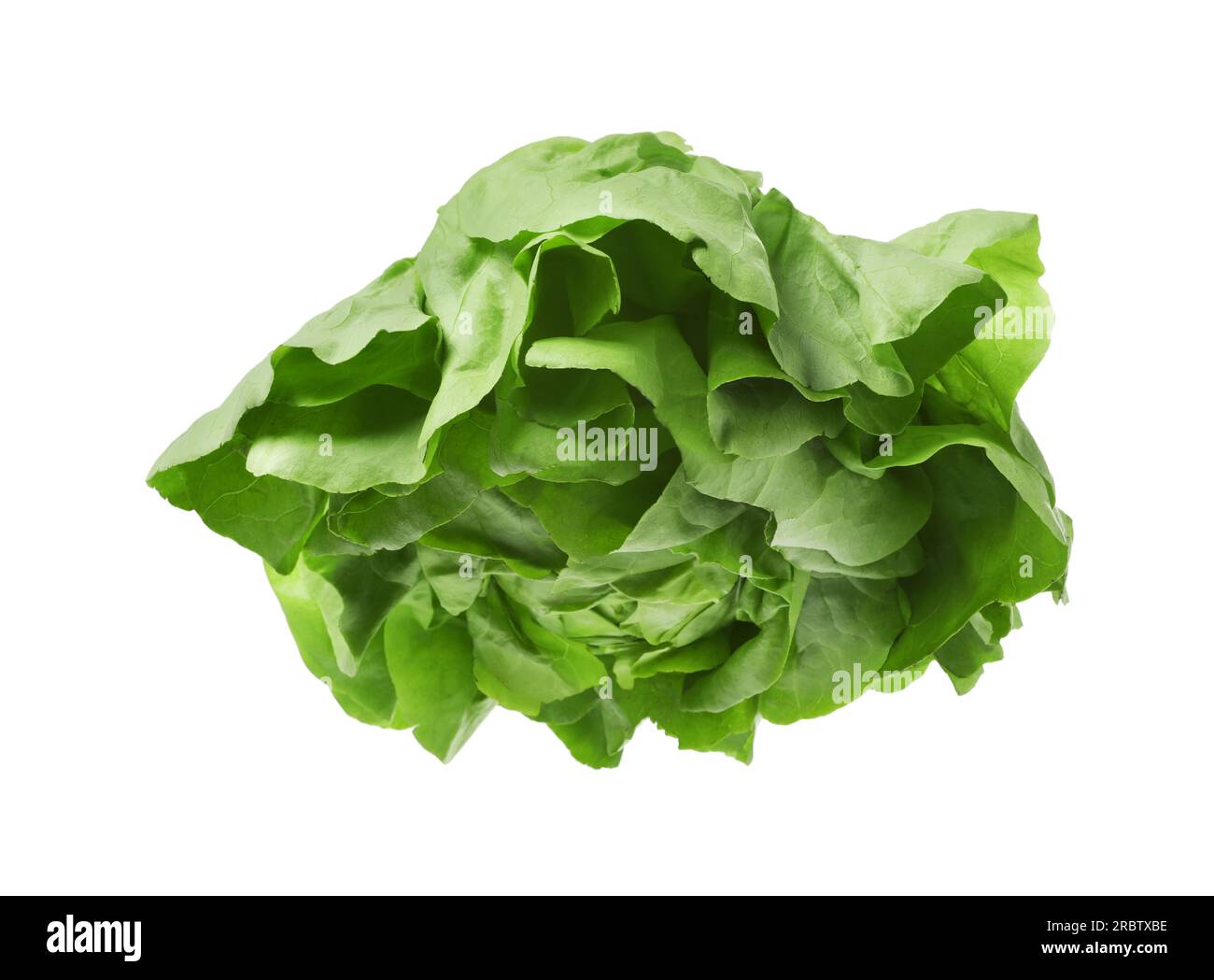 Fresh green butter lettuce head isolated on white Stock Photo - Alamy
