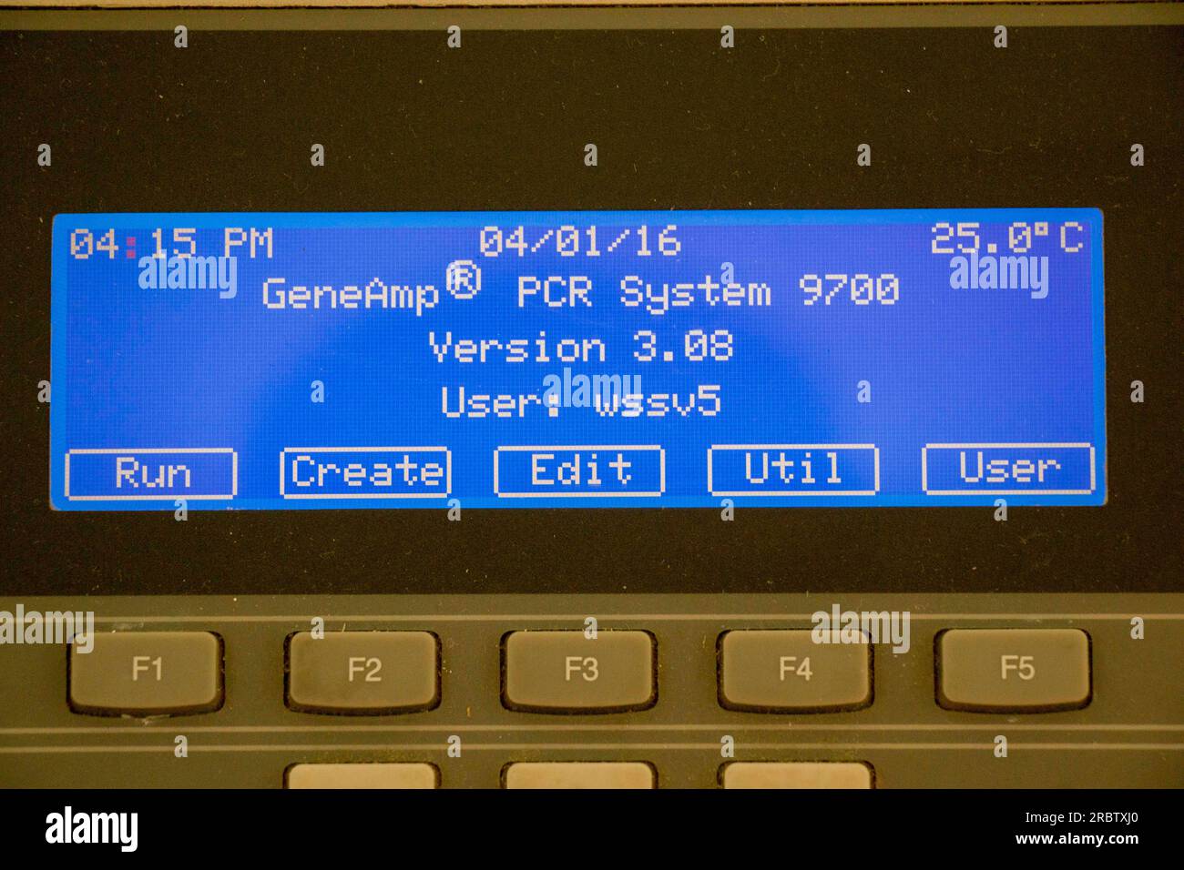 A person is collecting sample from white spot virus infected shrimp ...