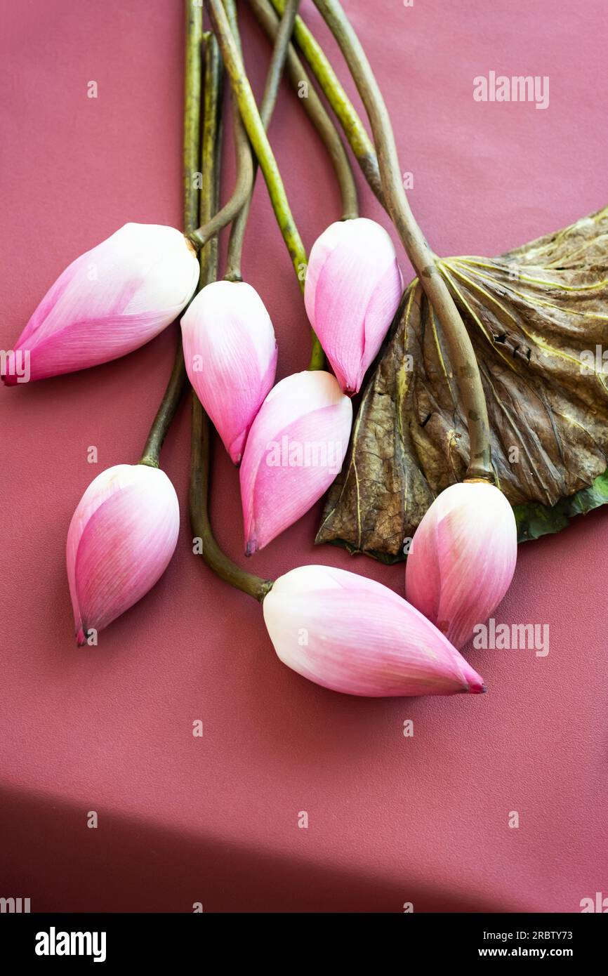 Close up collection pure hi-res stock photography and images - Alamy