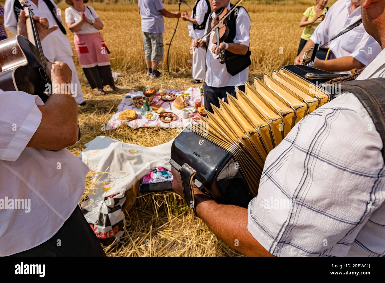 Accordionist is stretching bellows of accordion. Music for success ...