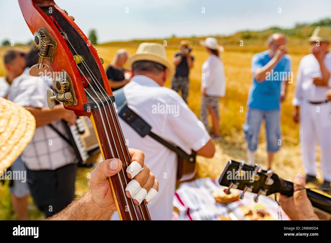 Close up shot on neck of contrabass. Musician plays double bass with ...
