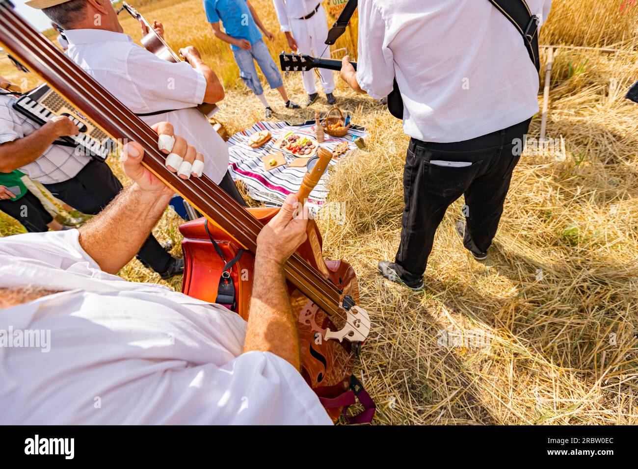 Contrabassist, musician plays contrabass using wooden, jingle bells ...