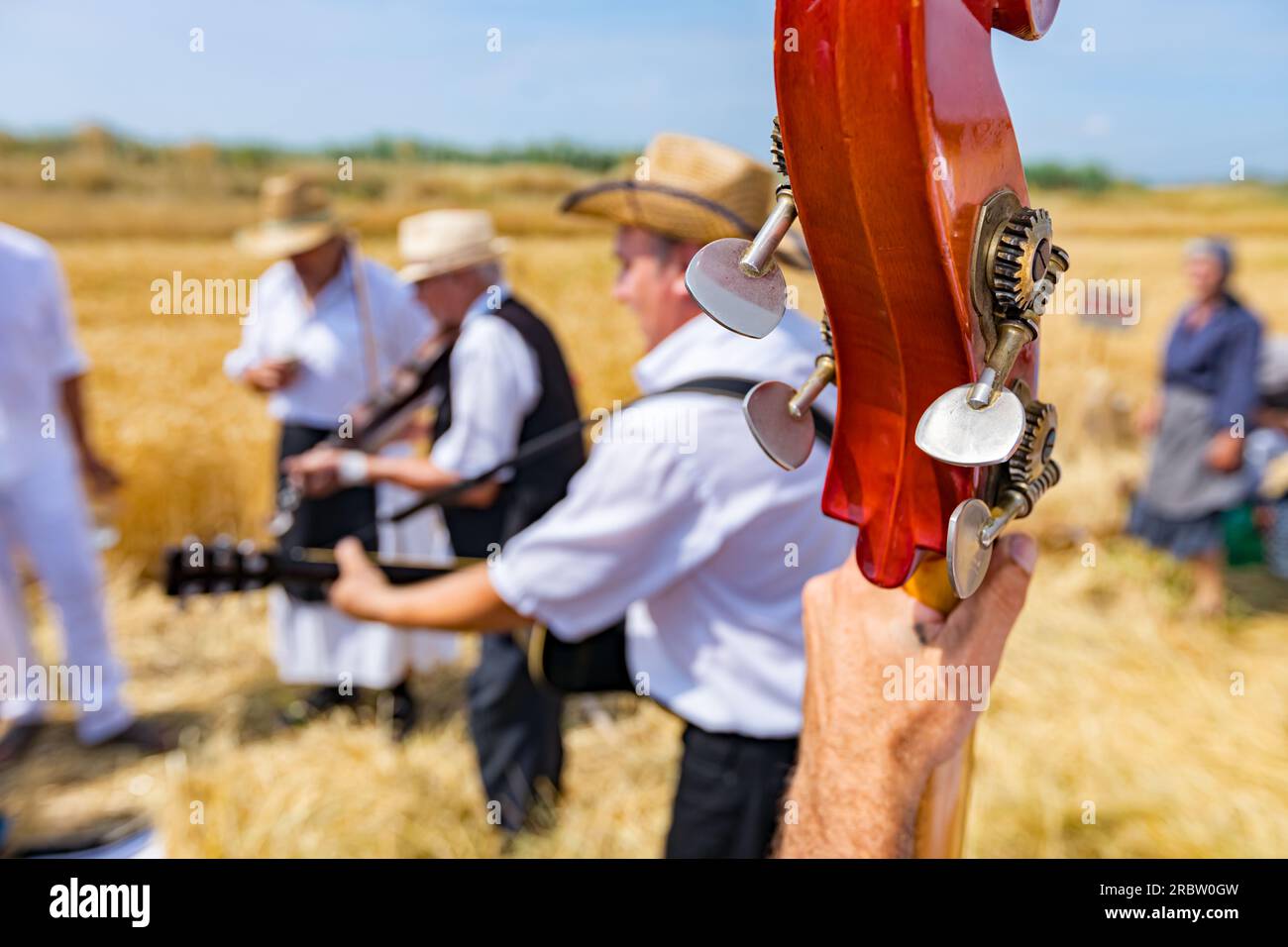 Close up shot on part of contrabass, headstock with tuning keys ...