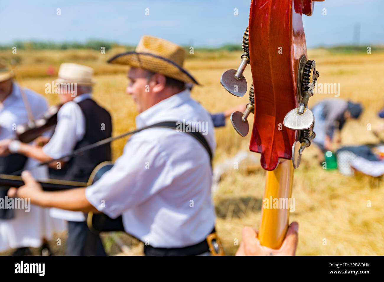 Close up shot on part of contrabass, headstock with tuning keys ...