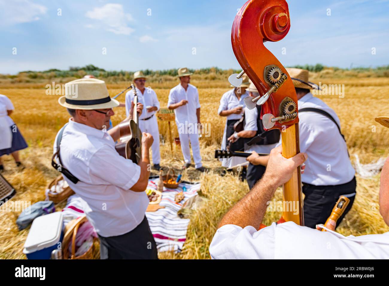 Close up shot on part of contrabass, headstock with tuning keys ...