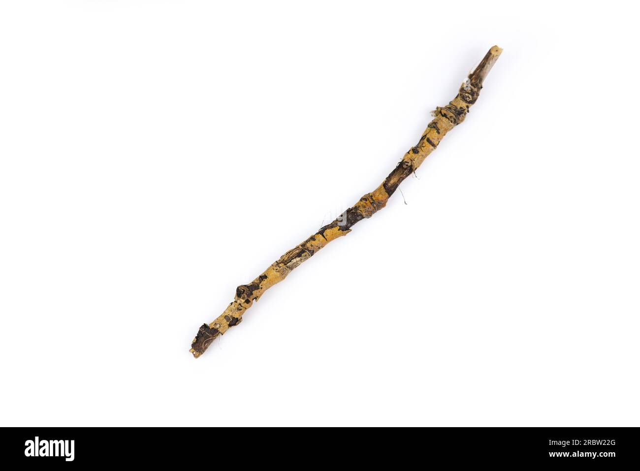 wooden stick isolated on white background with copy space. Closeup, top ...