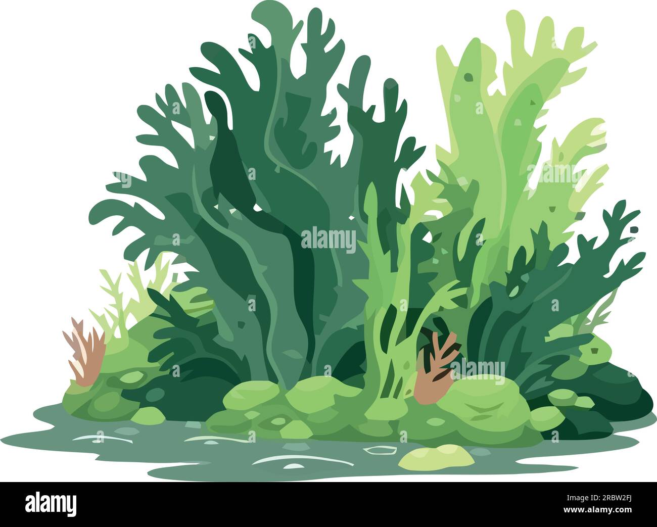 nature seaweed design Stock Vector Image & Art - Alamy