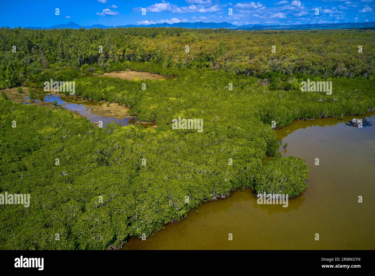 Mauritius, Flacq district, Mare Sarcelle wetlands Stock Photo - Alamy