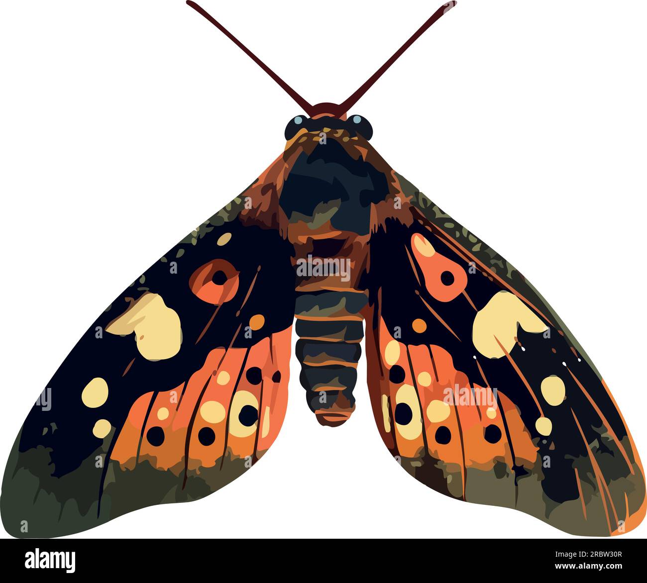 Butterfly in yellow colors Stock Vector Images - Alamy