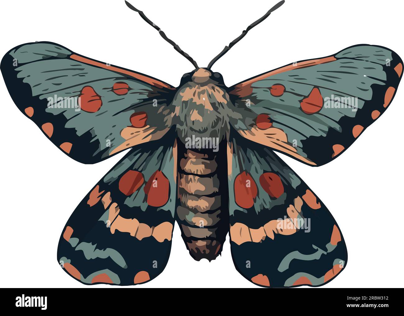 Butterfly in yellow colors Stock Vector Images - Alamy