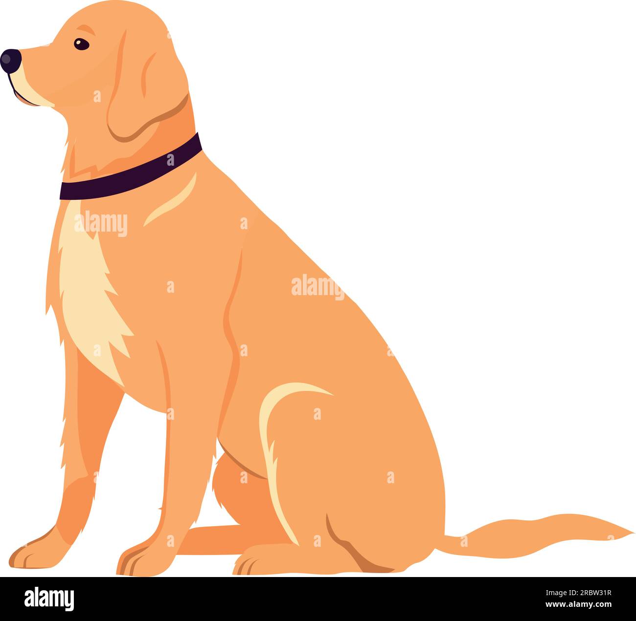 Cute Labrador puppy sitting Stock Vector Image & Art - Alamy