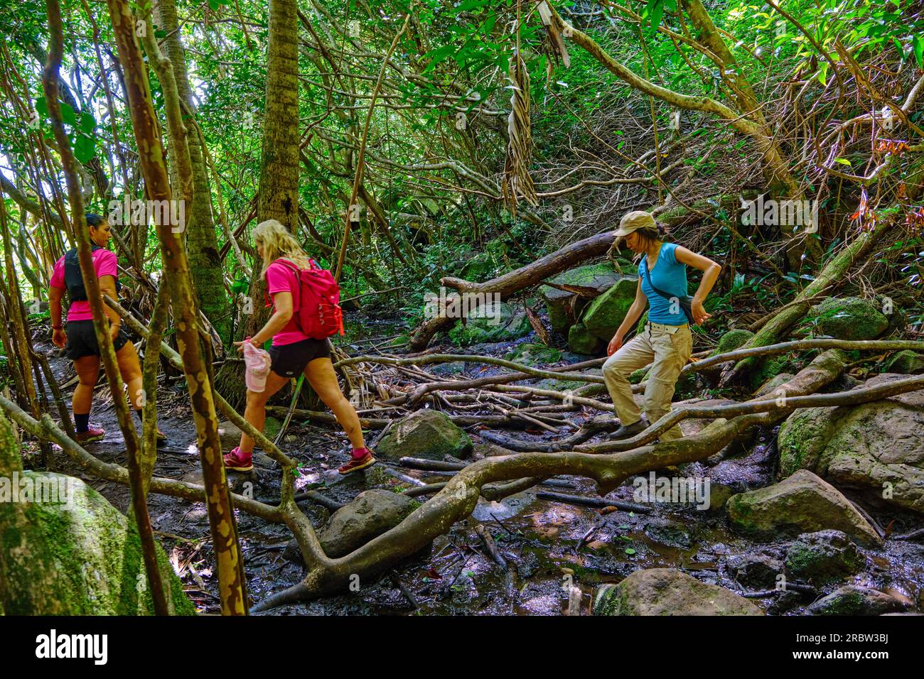 Mauritius, Plaines Wilhems district, Henrietta, the Seven Waterfalls of ...