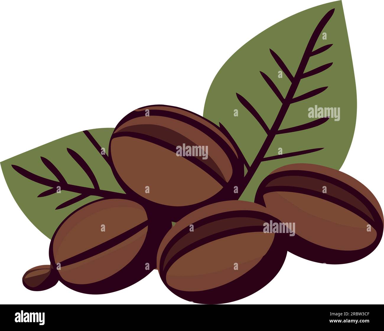 Green coffee beans fruit Stock Vector Images - Alamy