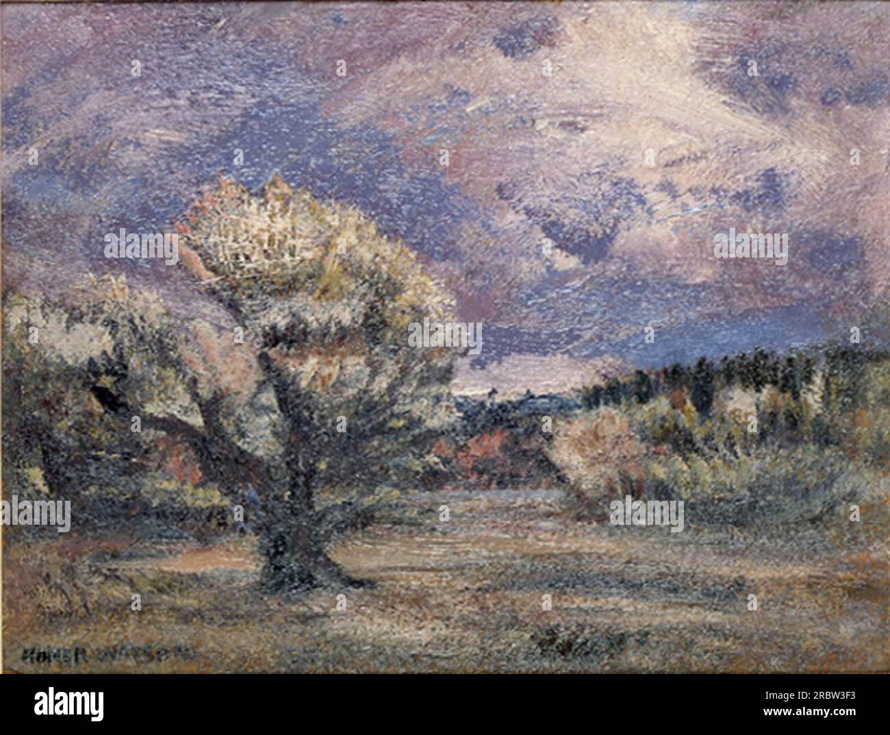 Homer bush hi-res stock photography and images - Alamy