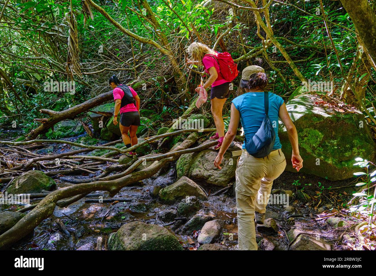 Mauritius, Plaines Wilhems district, Henrietta, the Seven Waterfalls of the Tamarin River ...