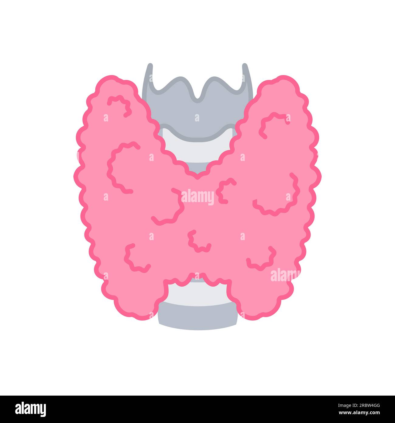 Healthy thyroid gland body organ outline icon Stock Vector Image & Art ...
