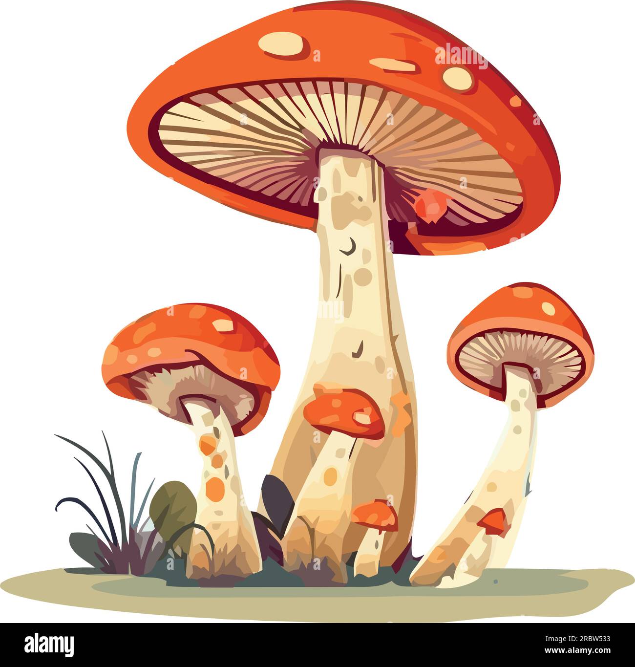 Autumn forest fungus design Stock Vector Image & Art - Alamy