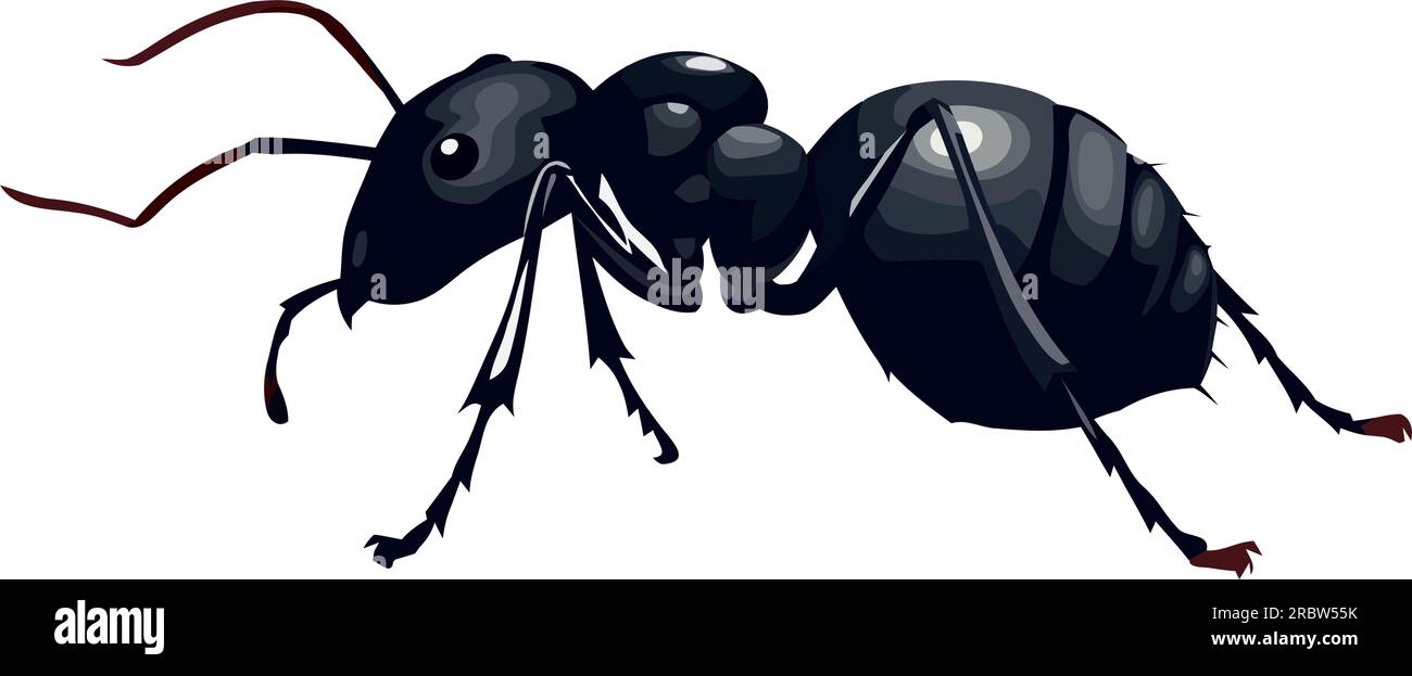 Small ant design Stock Vector Image & Art - Alamy