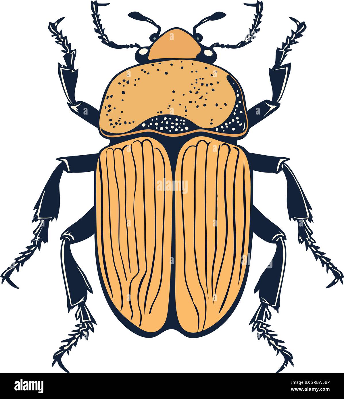 Small insects crawling Stock Vector Image & Art - Alamy