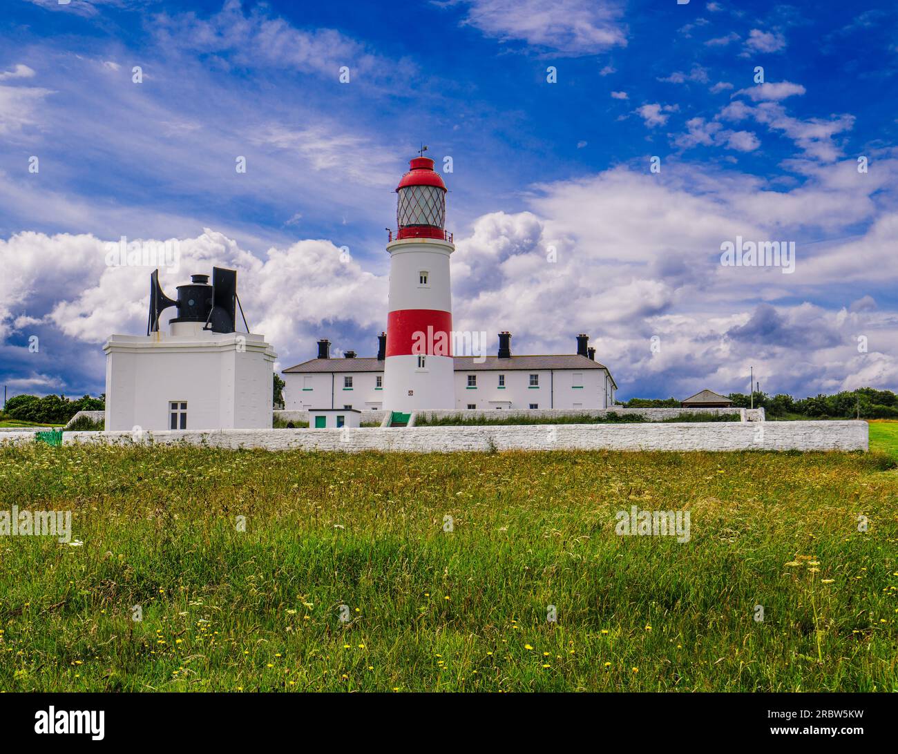 Sunlit Souter Lighthouse behind an expanse of wildflowers on the ...