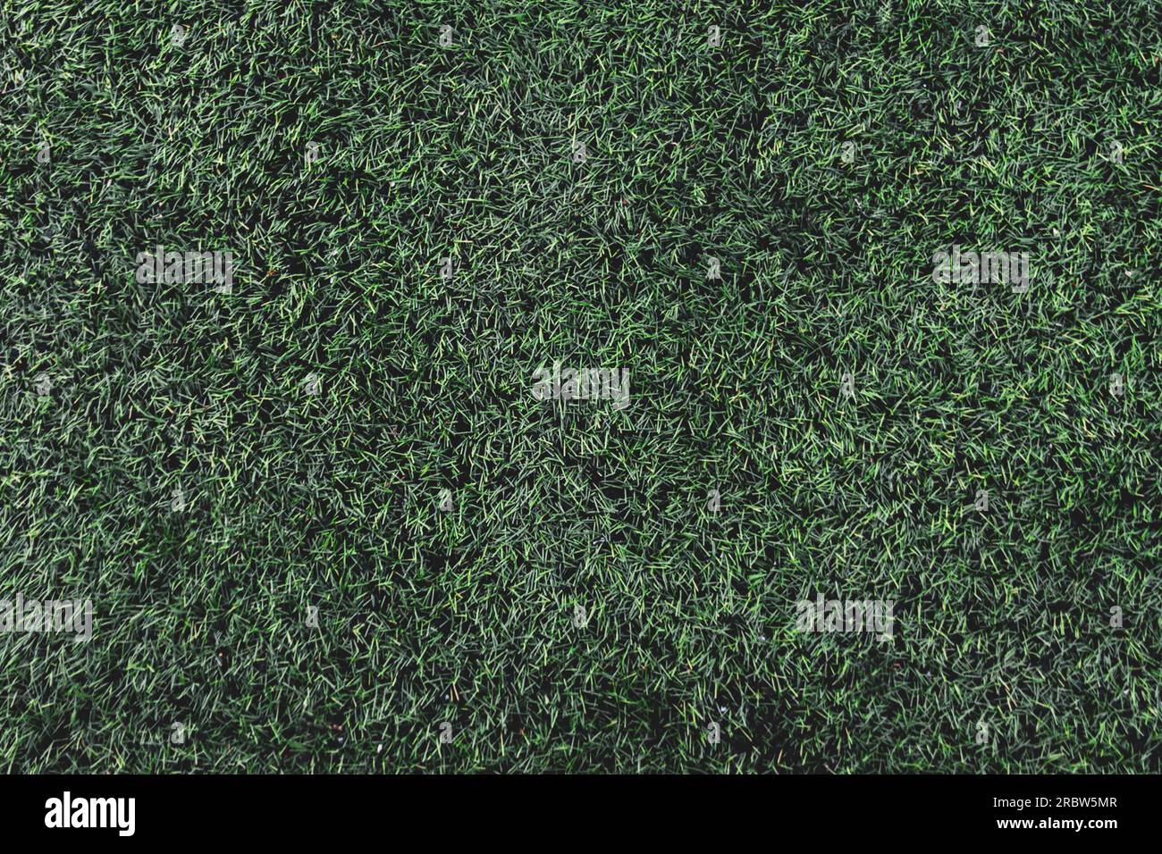 texture, background green lawn. surface a grass. Copy space Stock Photo ...
