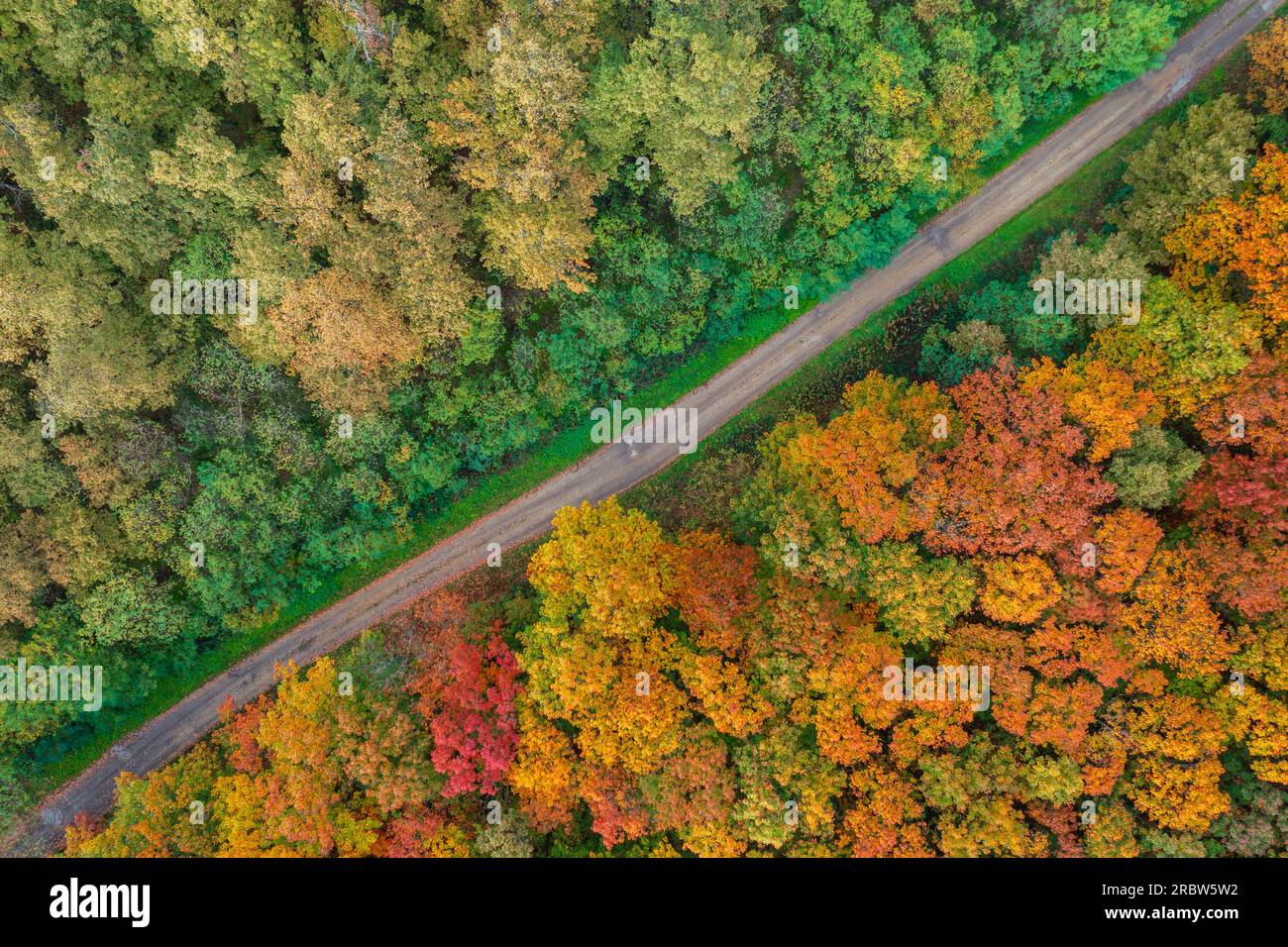 Aerial top down view about dirt road crossing the beautiful autumn forest with warm colors and ...