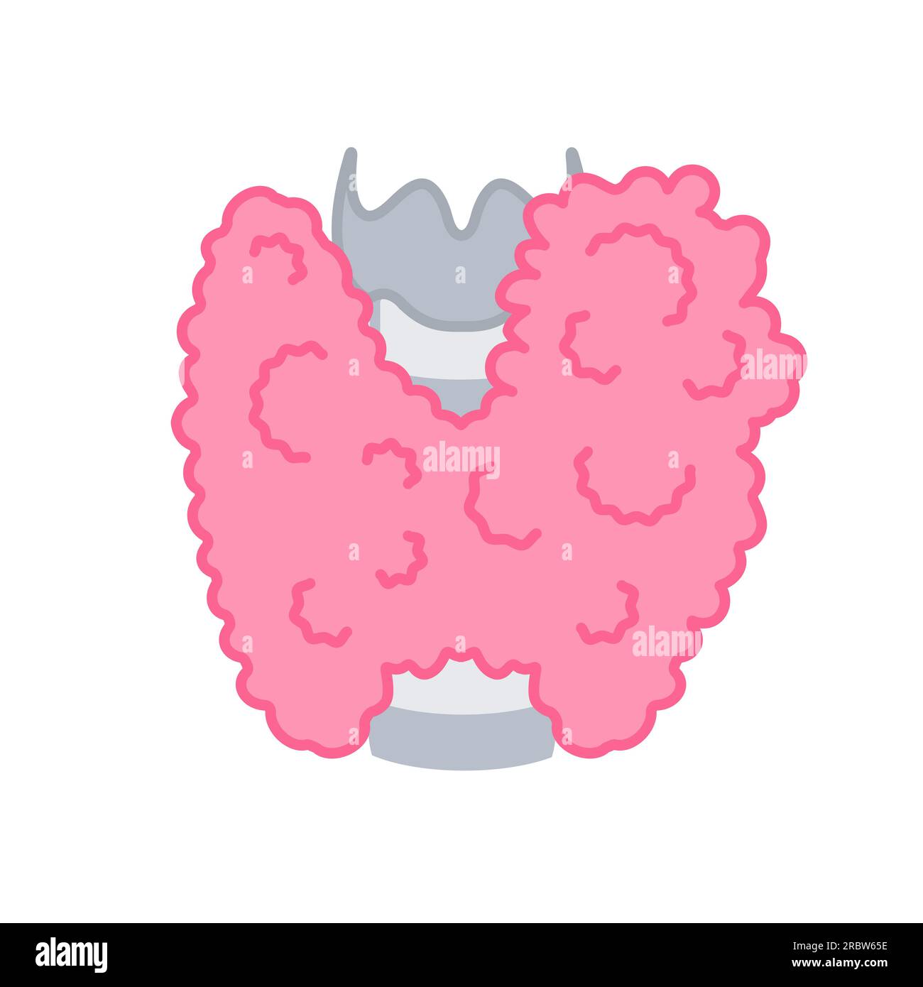 Thyroid gland disorder Stock Vector Images - Alamy
