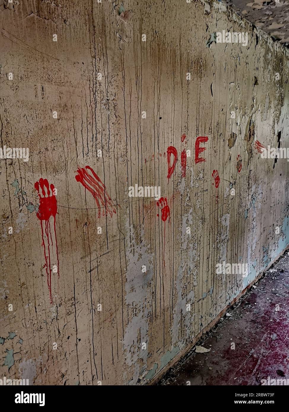 Someone has painted smeared hand prints and the word die on the wall of ...