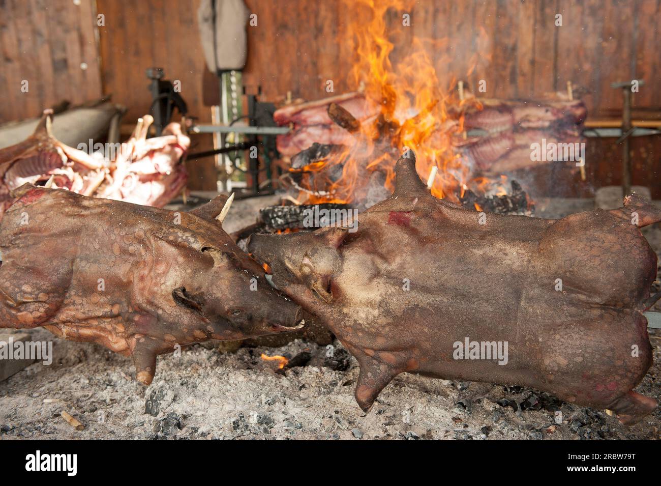 “Porceddu”, roast baby pork wrapped around a spit, typical Sardinia ...