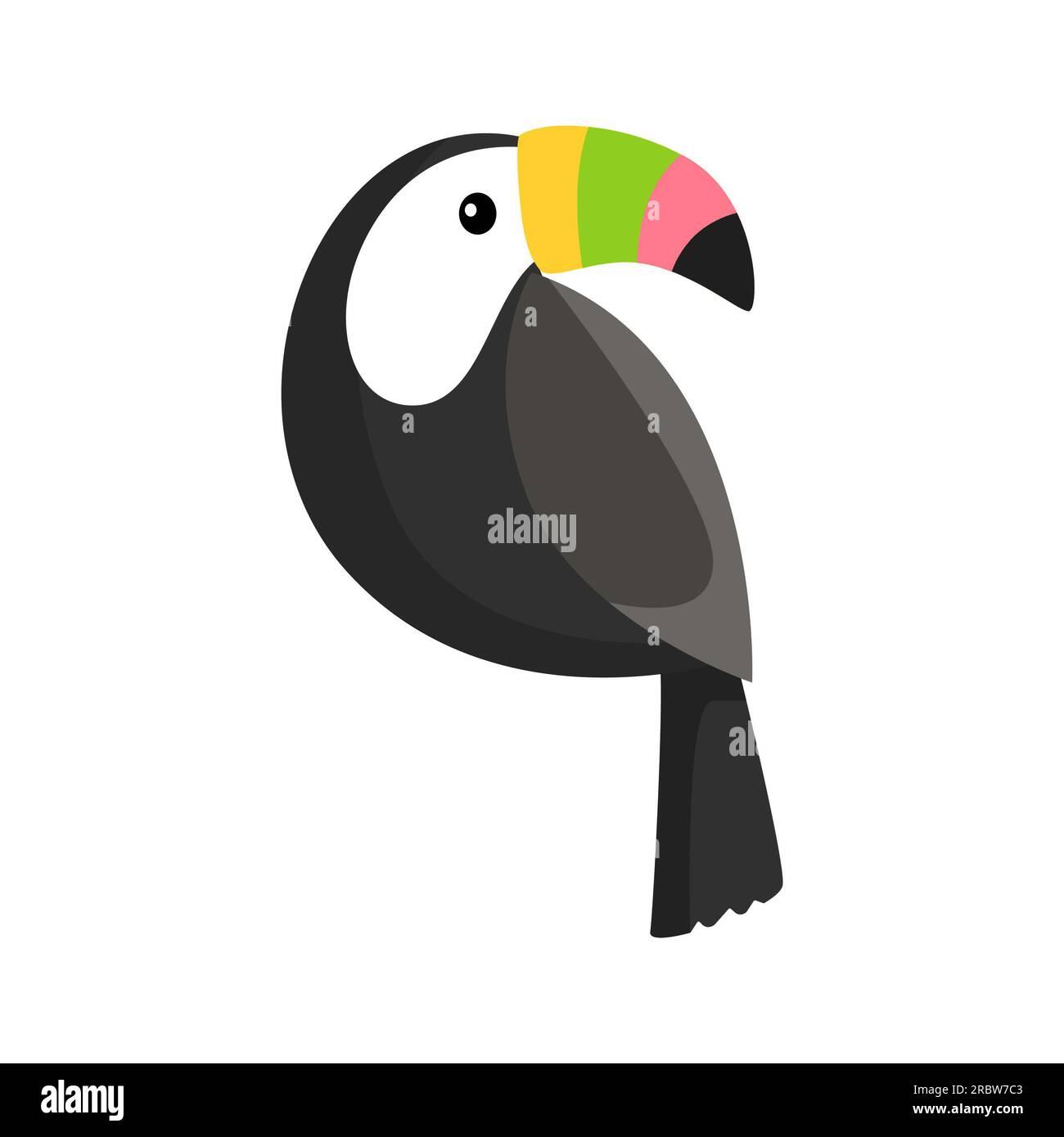 Toucan bird on white background. Animal illustration. Useful for ...