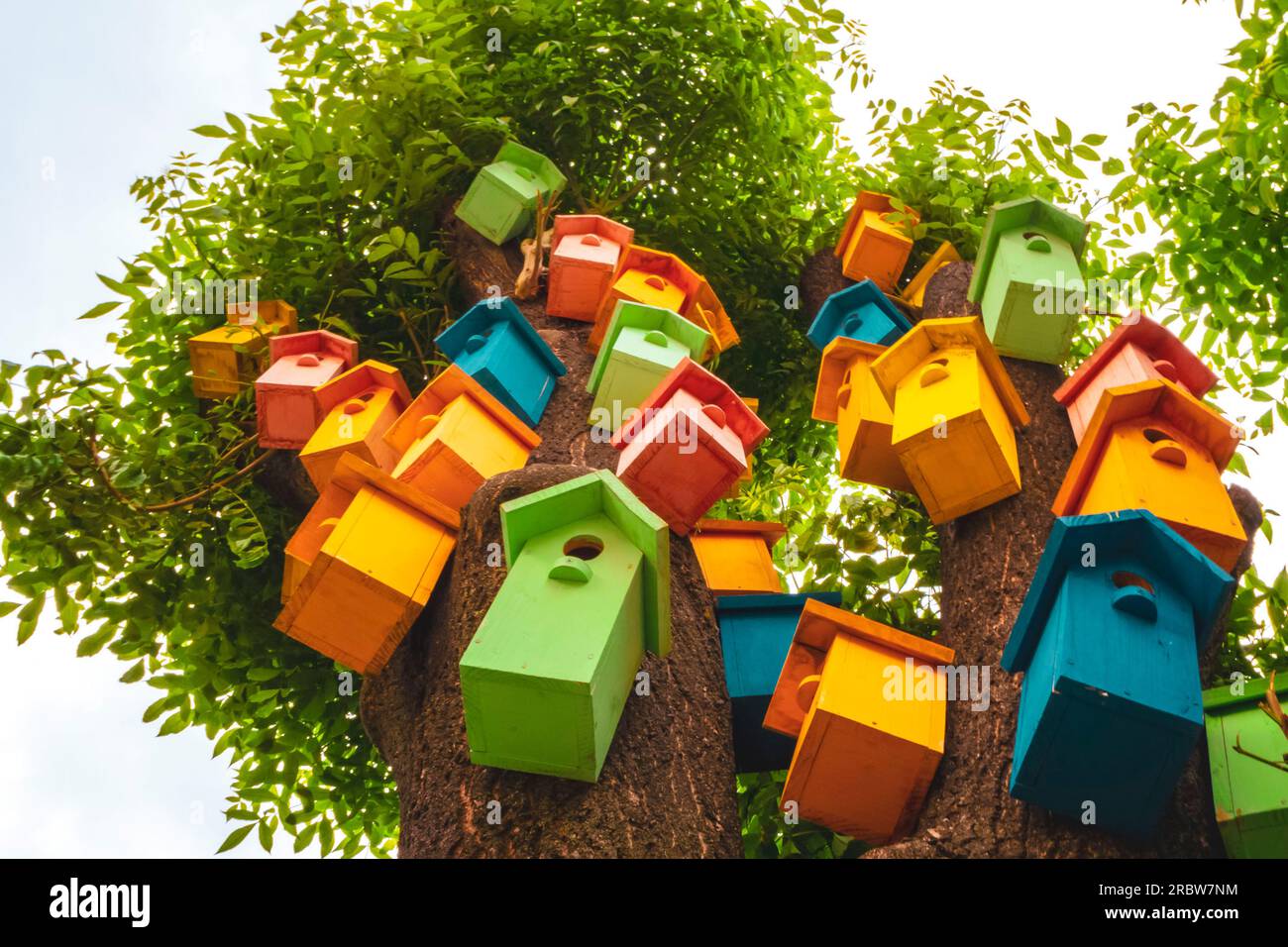 Color nesting boxes on a tree. A lot of colorful birdhouses.The Concept ...