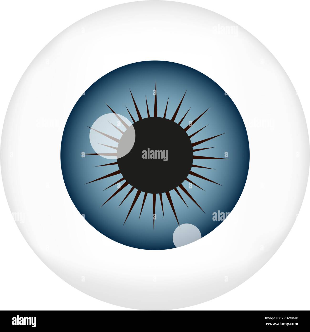 Eye ball with blue pupil. Human eyeball anatomy closeup view isolated ...