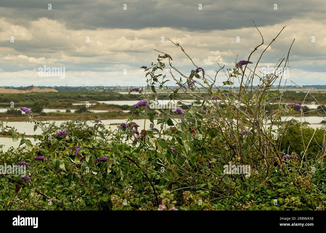 The Hill at Cliffe Pools Stock Photo - Alamy