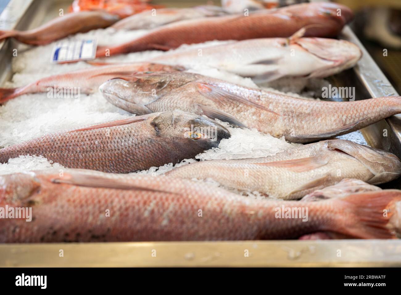 fish at the market in Funchal Stock Photo - Alamy