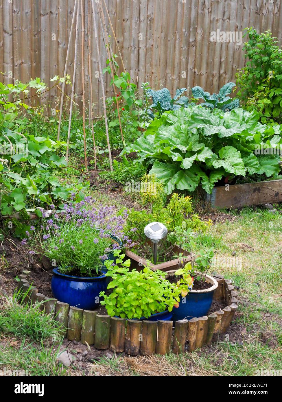 A small vegetable plot and herb garden Stock Photo - Alamy