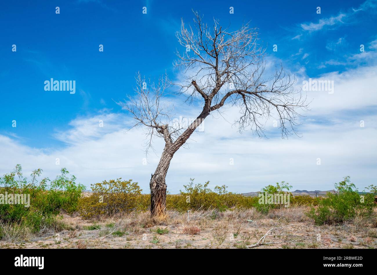 Fort Selden State Monument in New Mexico Stock Photo - Alamy