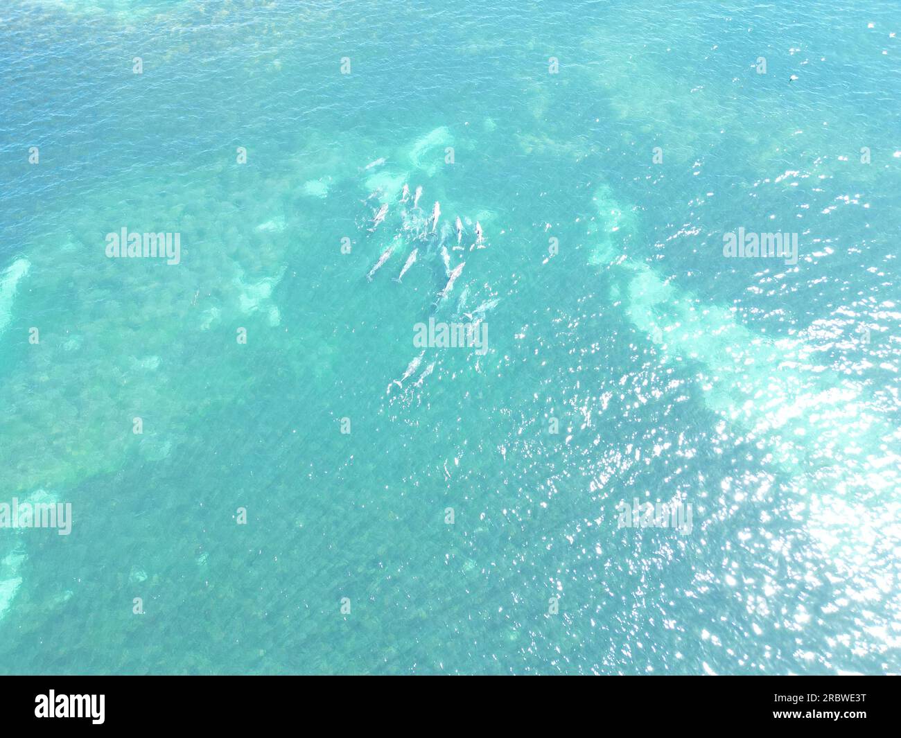 Dolphi hi-res stock photography and images - Alamy