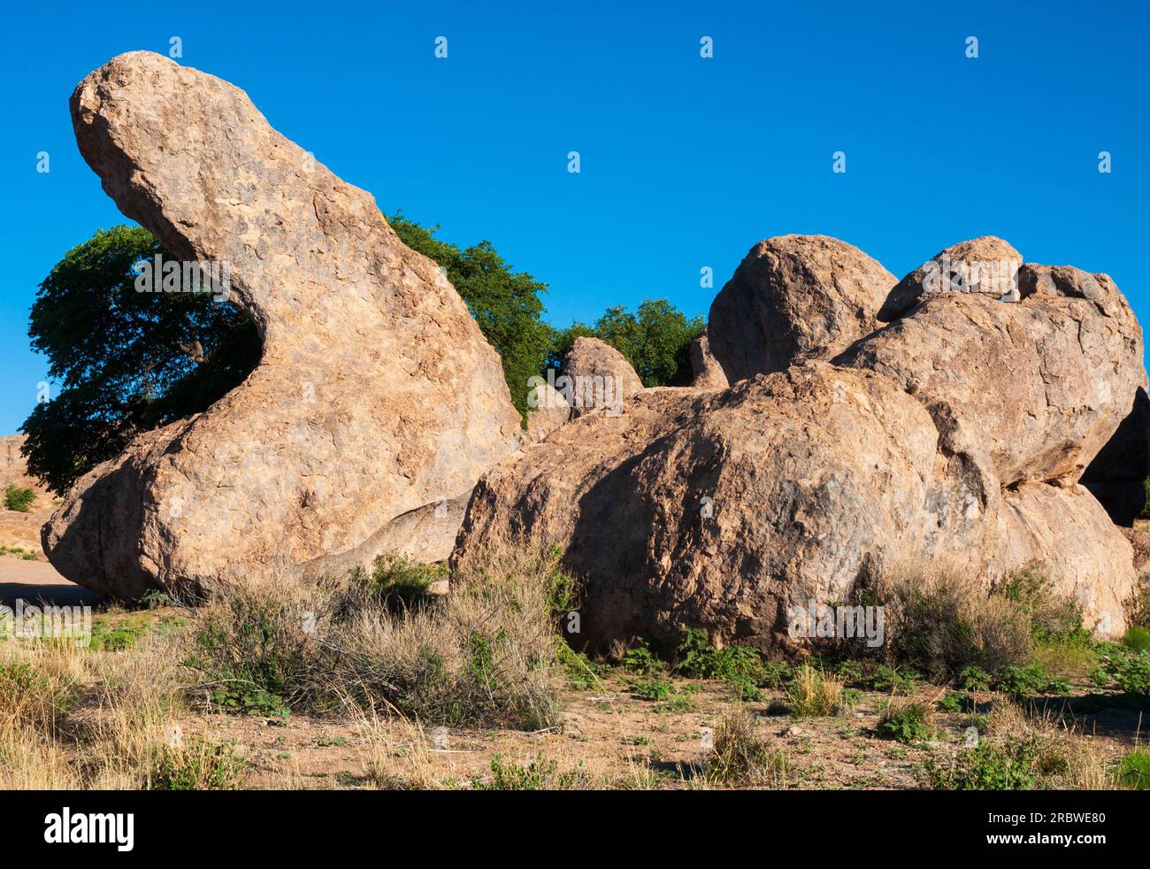 City of Rocks State Park, State park in the Faywood in New Mexico Stock ...
