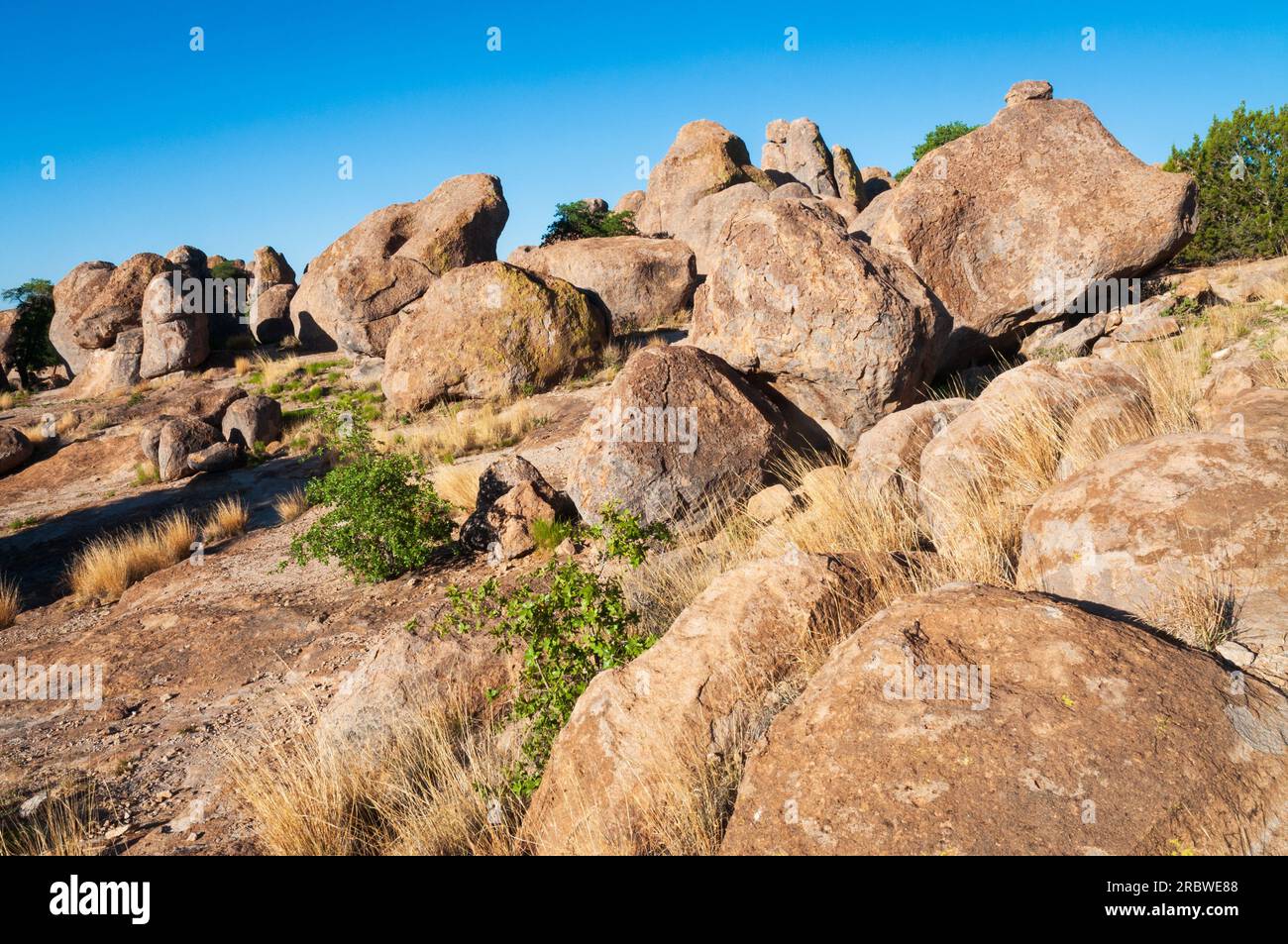 City of Rocks State Park, State park in the Faywood in New Mexico Stock ...