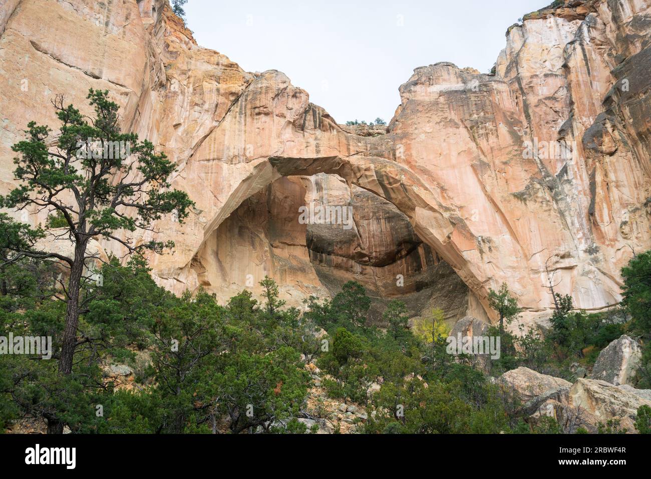 El Malpais National Monument in western New Mexico Stock Photo - Alamy