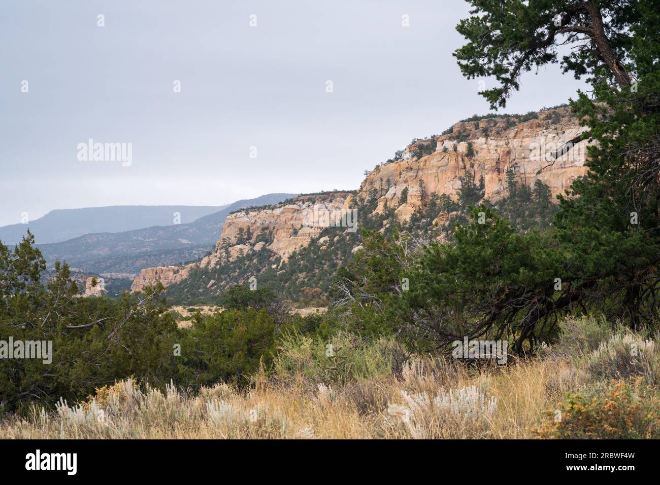 El Malpais National Monument in western New Mexico Stock Photo - Alamy