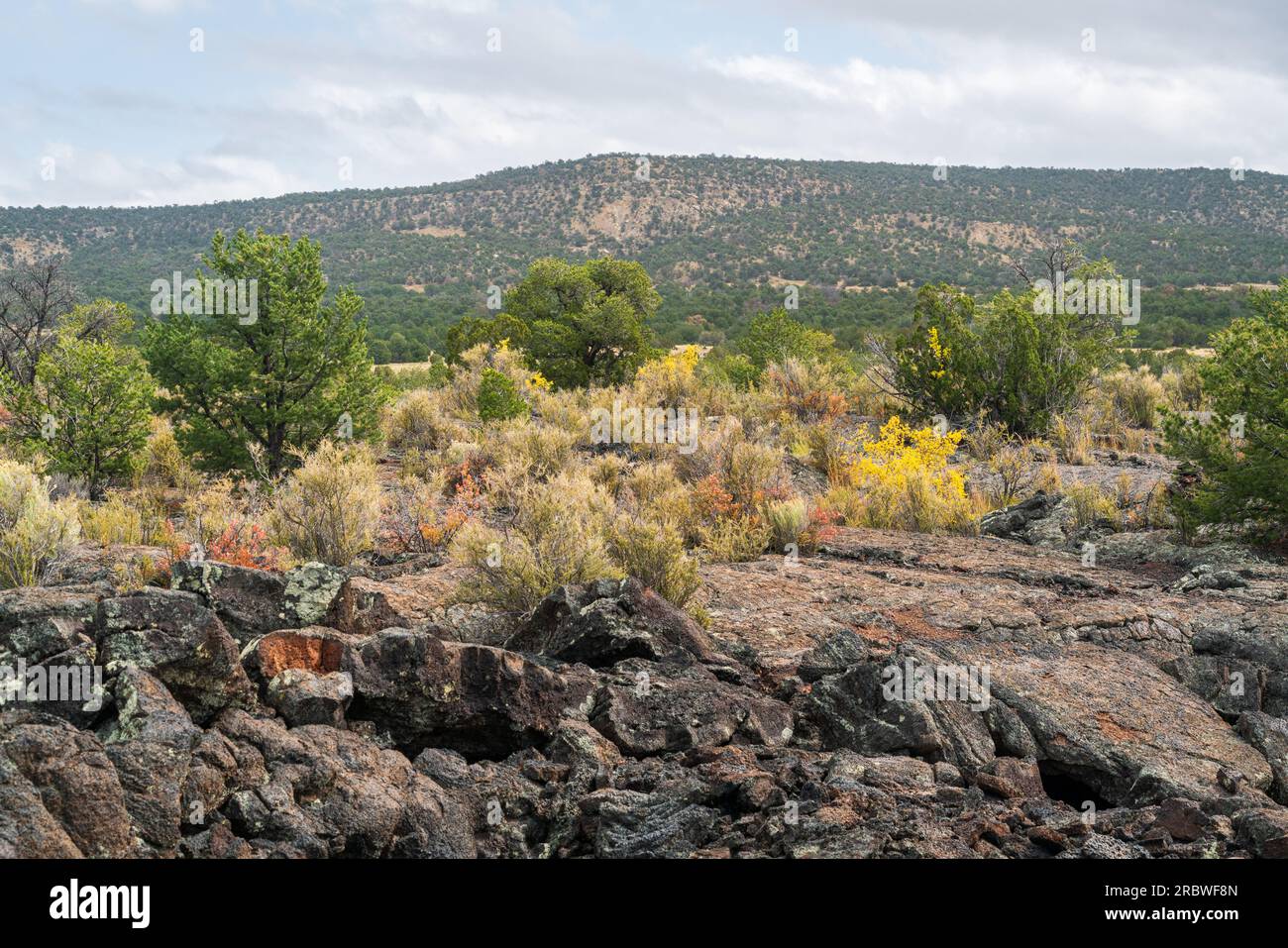 El Malpais National Monument in western New Mexico Stock Photo - Alamy