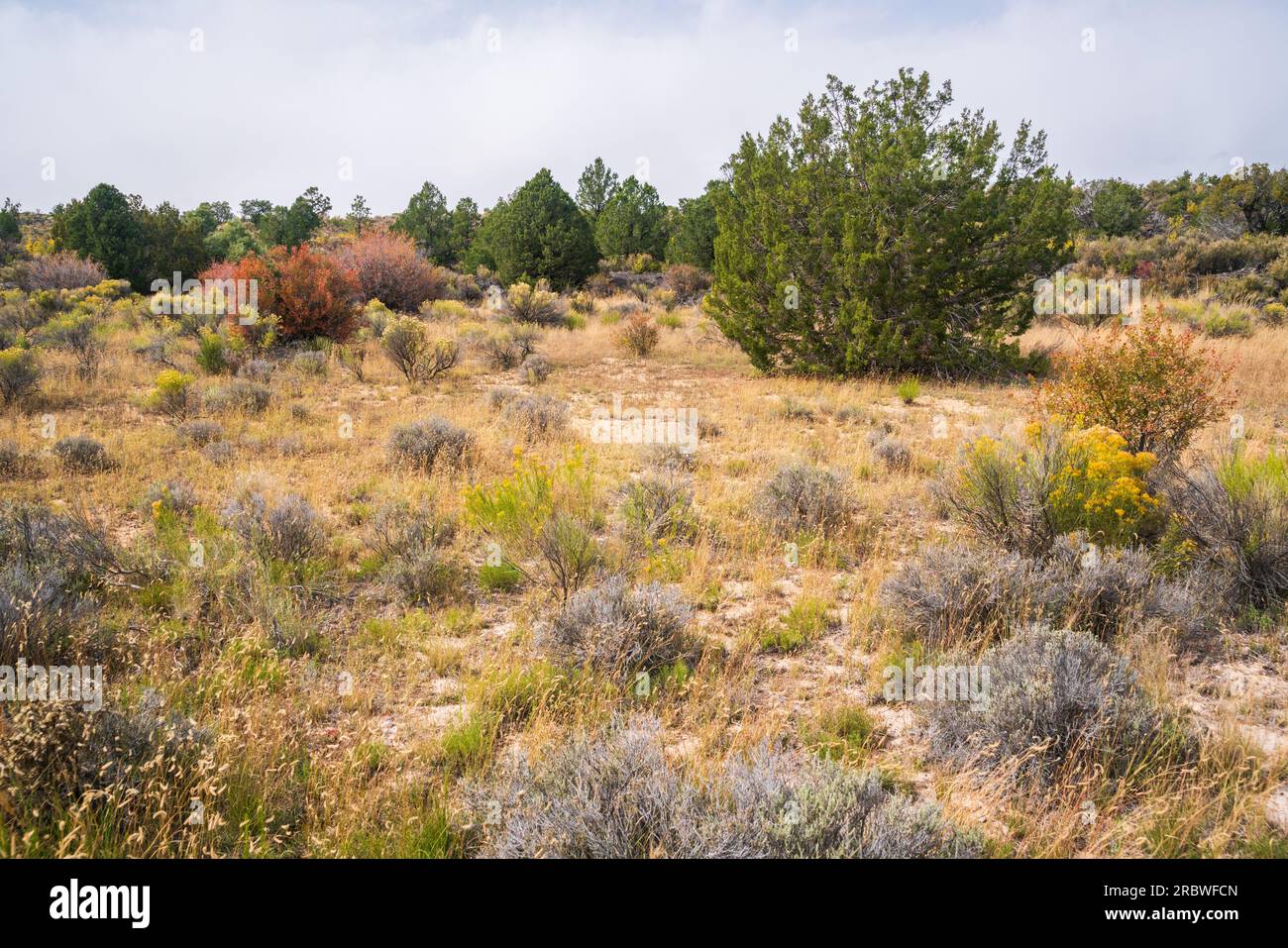 El Malpais National Monument in western New Mexico Stock Photo - Alamy