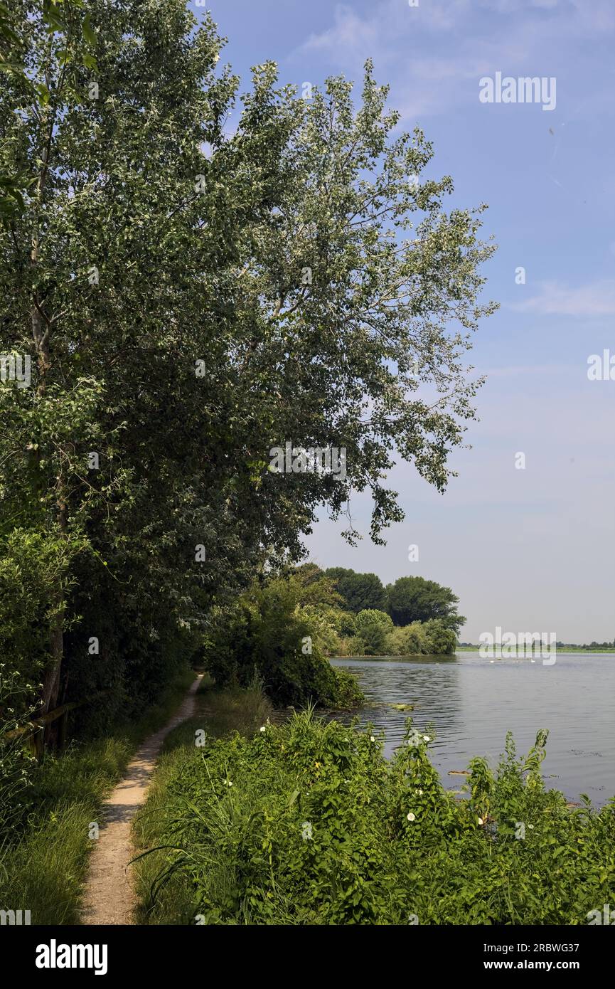 Trail bordered by trees and bushes in a park by the riverside on a ...