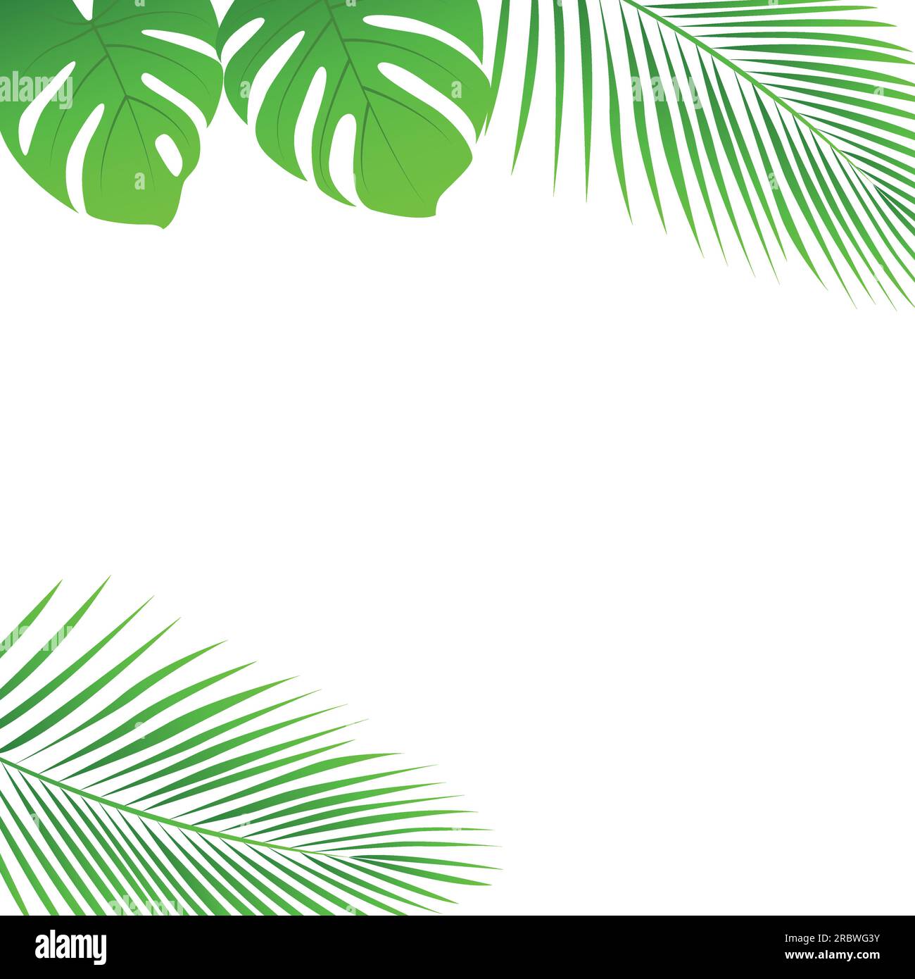 tropical palm leaves border summer holiday design isolated Stock Vector ...
