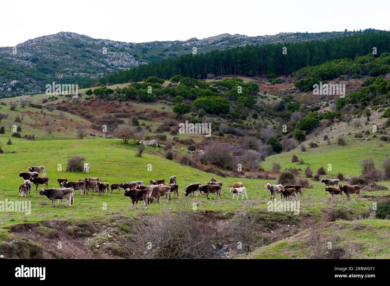 Villagrande sardinia hi-res stock photography and images - Alamy