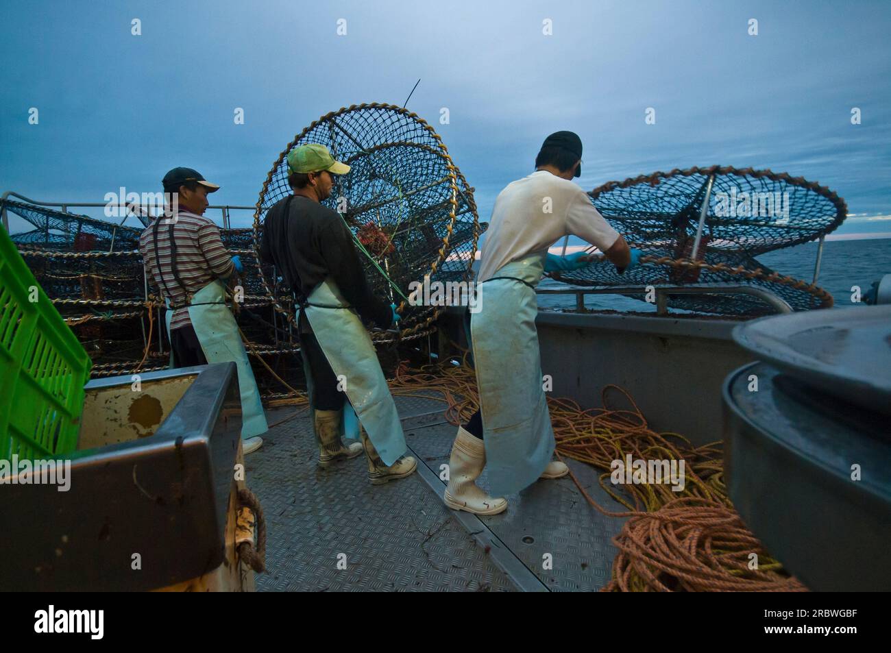 Commercial crab harvesting hi-res stock photography and images - Alamy